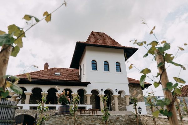 Idei de călătorie la crame în Republica Moldova: Château Vartely, Crama ...