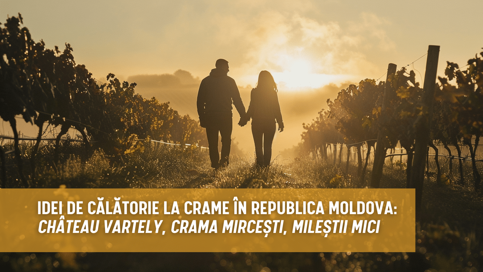Idei de călătorie la crame în Republica Moldova: Château Vartely, Crama ...